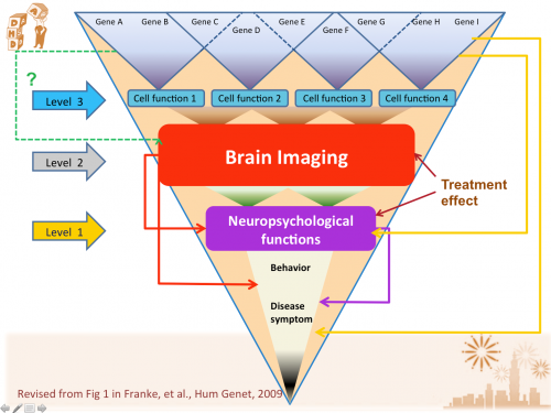 ADHD: the endophenotype approach - ESCAP